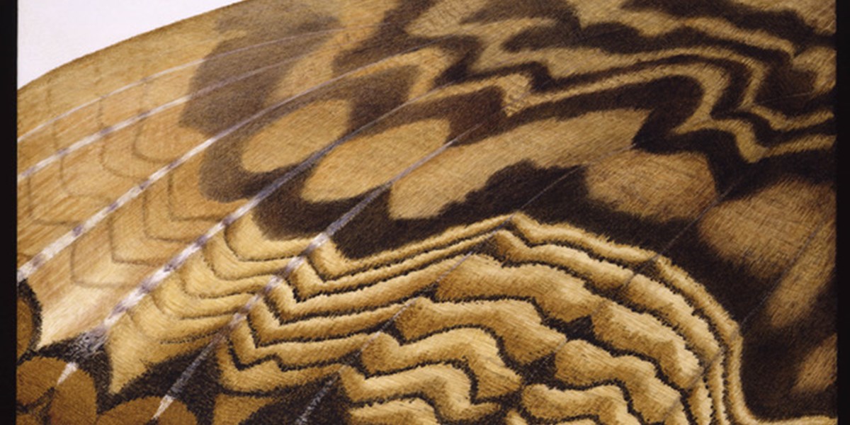 The Art Workers’ Guild | Brigid Edwards