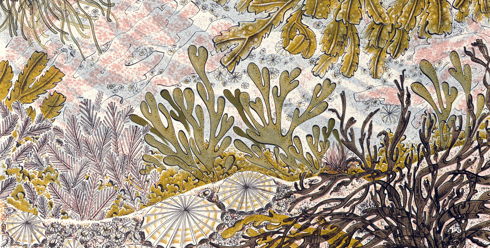 The Art Workers’ Guild | Angie Lewin